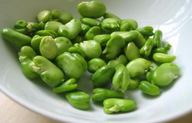 Come coltivare le fave - Ecoo.it