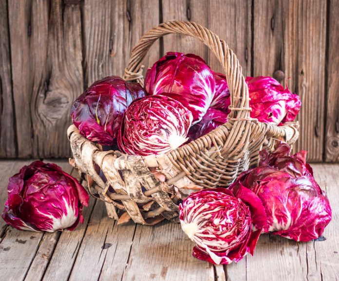 Come coltivare il radicchio: i consigli utili - Ecoo.it