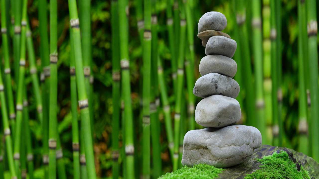 Giardino: come creare una zona mindfulness in modo facile