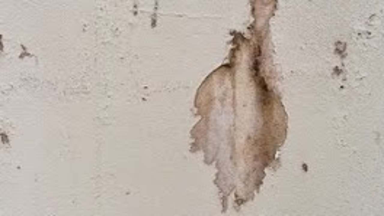 Macchie di olio sui muri: c'è un modo semplice per eliminarle