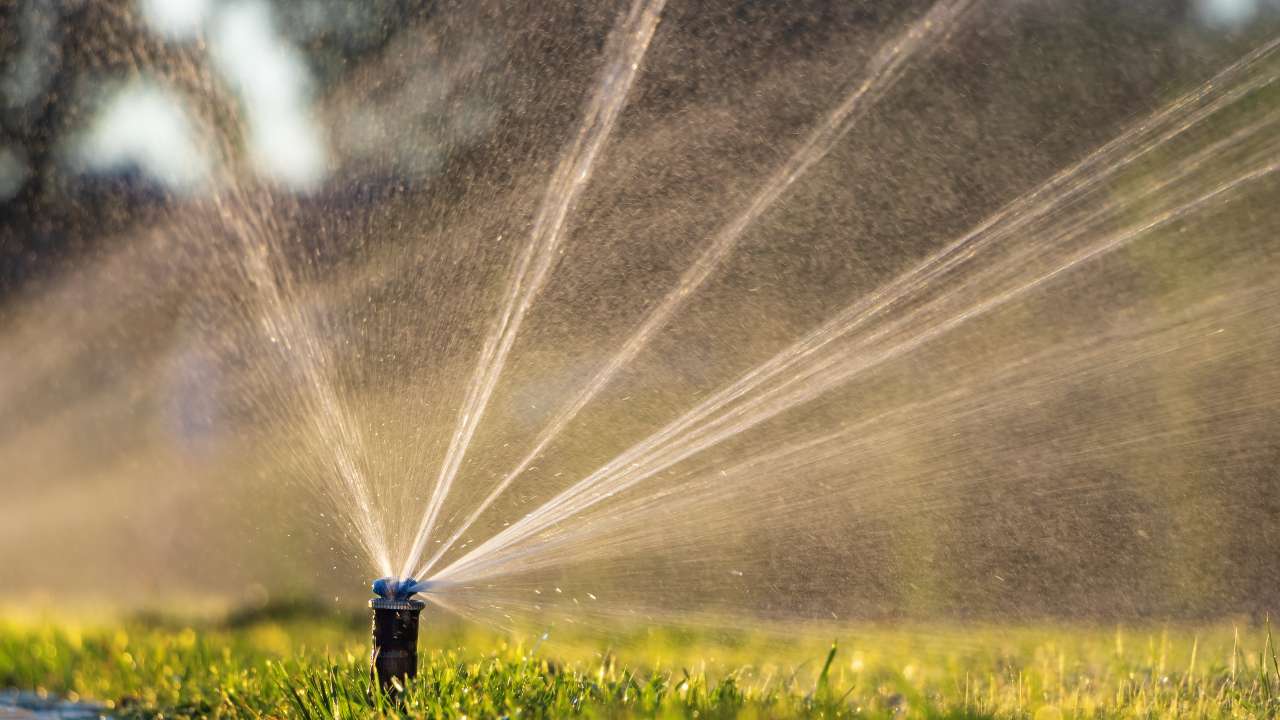 Giardino, come creare un irrigatore con una bottiglia di plastica