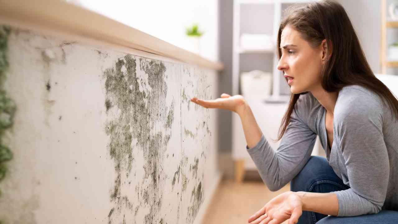 Muffa sui muri: eliminala con questa miscela fai da te