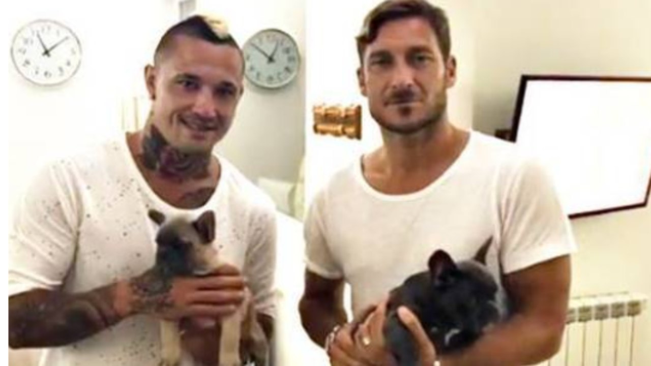 Quando Totti cadde nella truffa dei cani rari: cosa successe