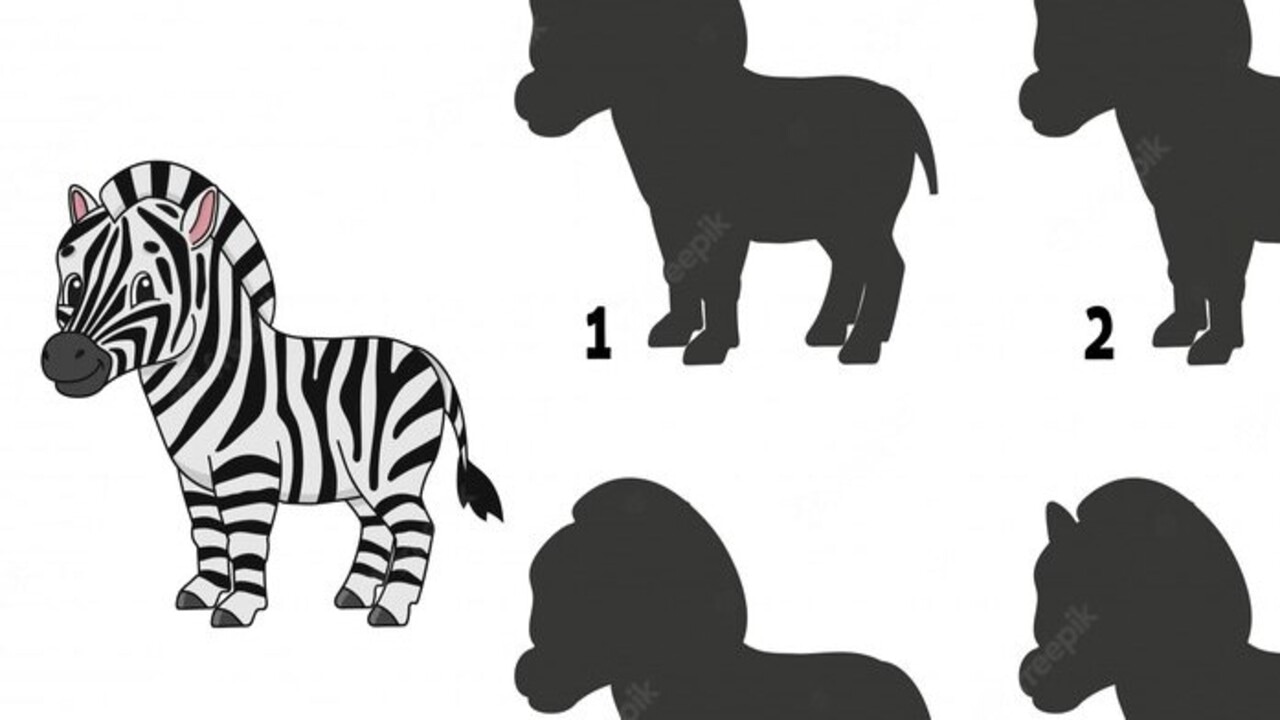 Riesci a trovare la giusta ombra della zebra? | Test