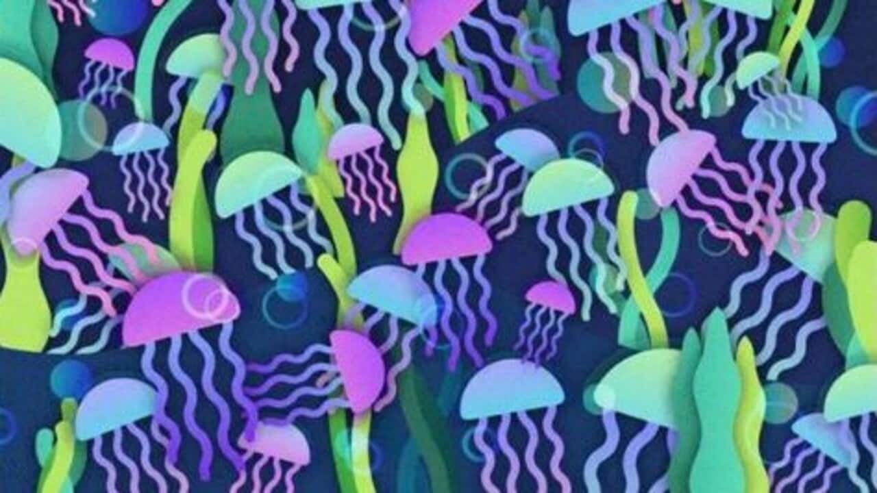 Solo i più brillanti trovano l'intruso nell'immagine | Test