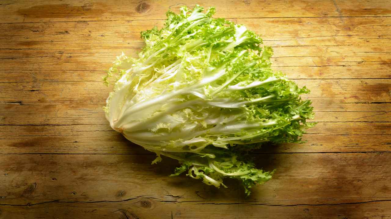 Indivia, c'è un modo geniale per condirla: come fare