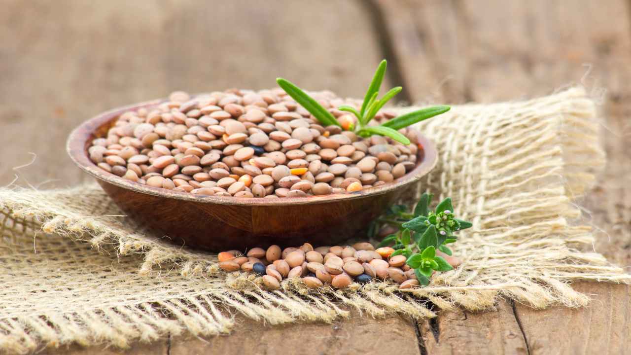 Lenticchia: perchè questo legume porta fortuna