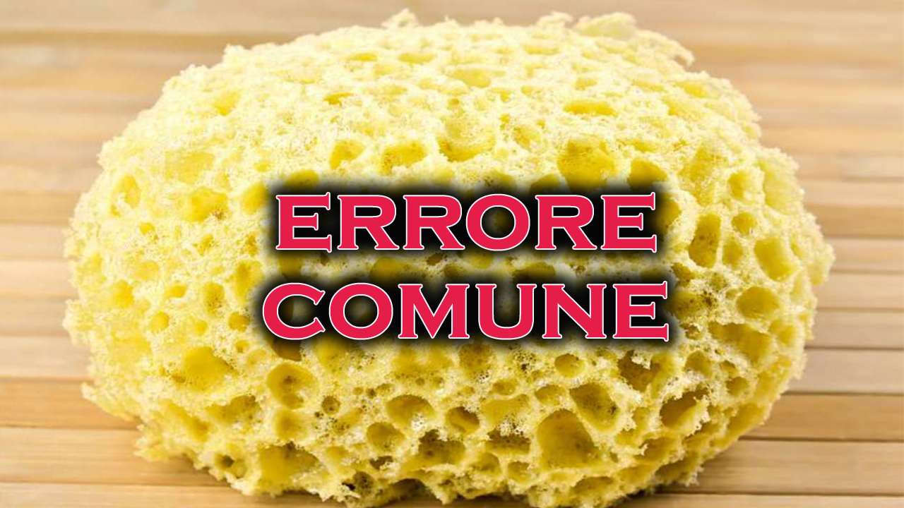 Spugne cucina ormai vecchie, non commettere questo errore