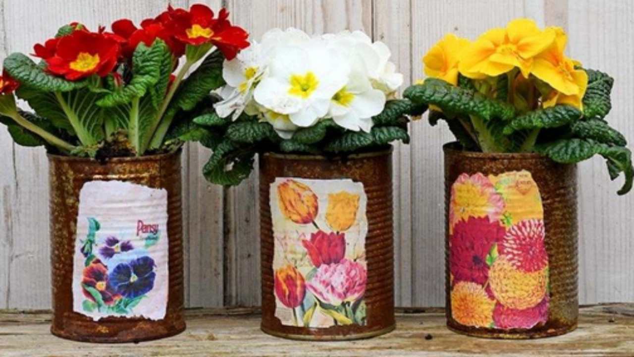 Bustine semi, non buttarle: c'è una bella sorpresa