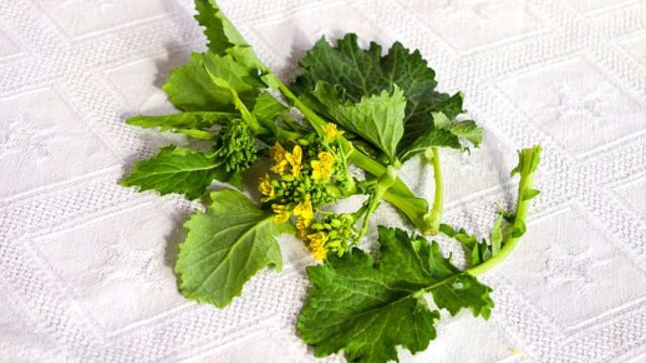 Cime di rapa, forse non sai che puoi farci anche questo