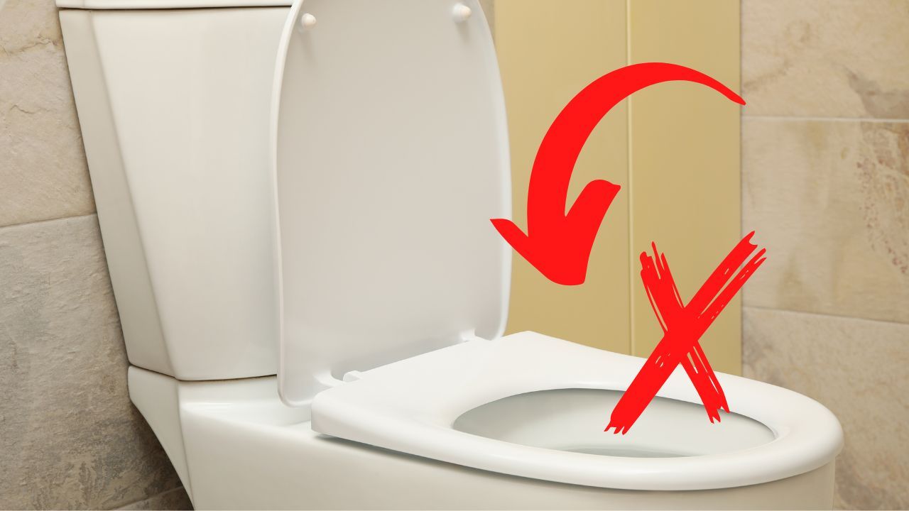 Non farlo mai! Cosa non gettare nel wc