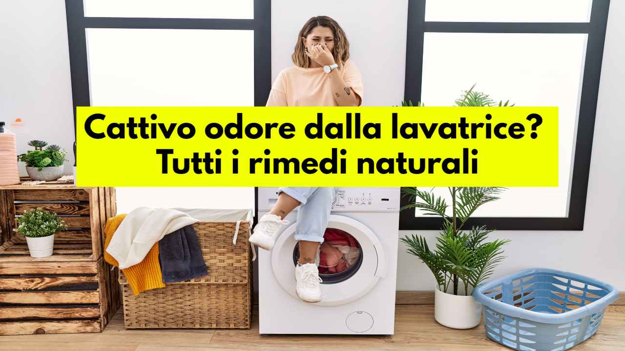 La tua lavatrice ha un cattivo odore: prova con questo trucco magico