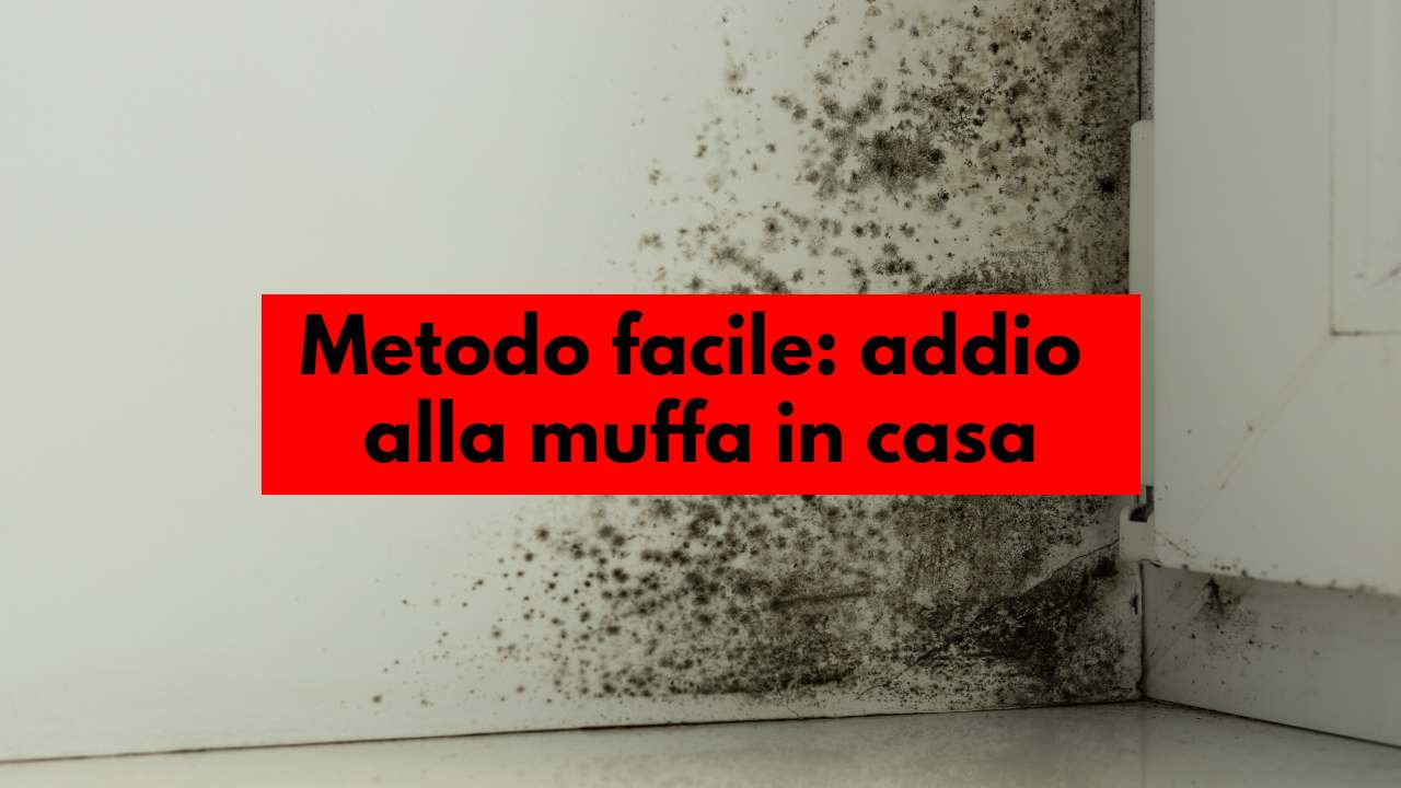 Angoli di casa pieni di muffa: addio con questo trucco