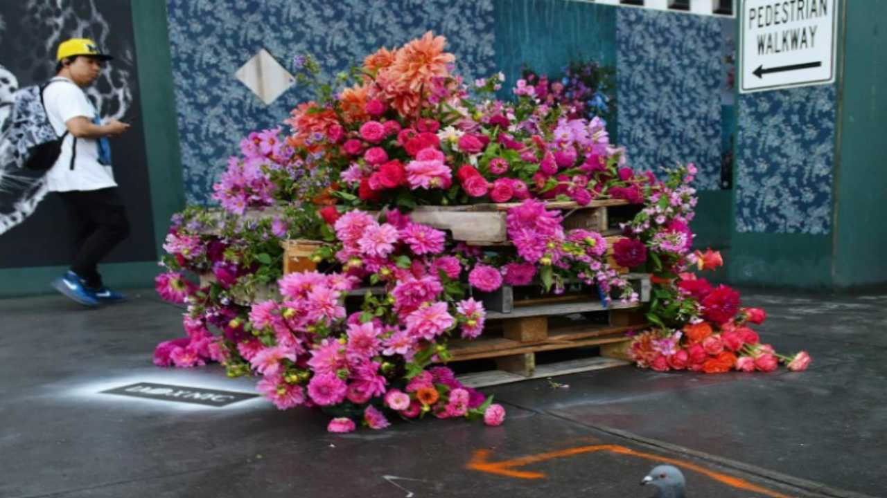 E' uno spettacolo da non perdere: l'artista affascina il mondo