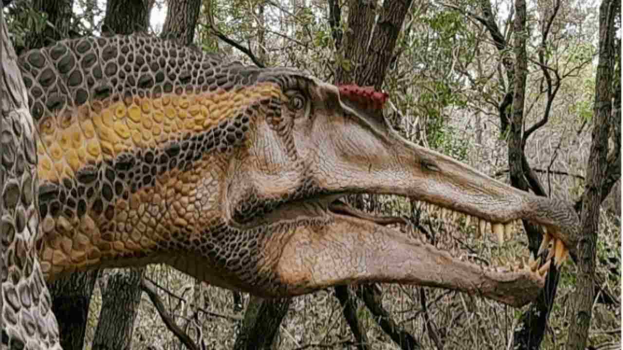 Dinosauri: è lui quello dal collo più lungo tra quelli ritrovati
