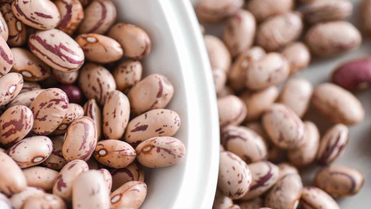 Fagioli borlotti: una mini GUIDA su come seminarli e farli crescere
