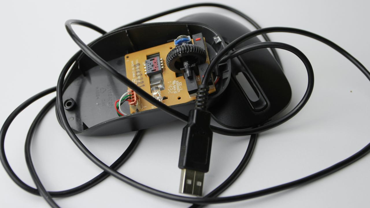 Mouse rotti o troppo vecchi: riciclali così le idee sono sorprendenti