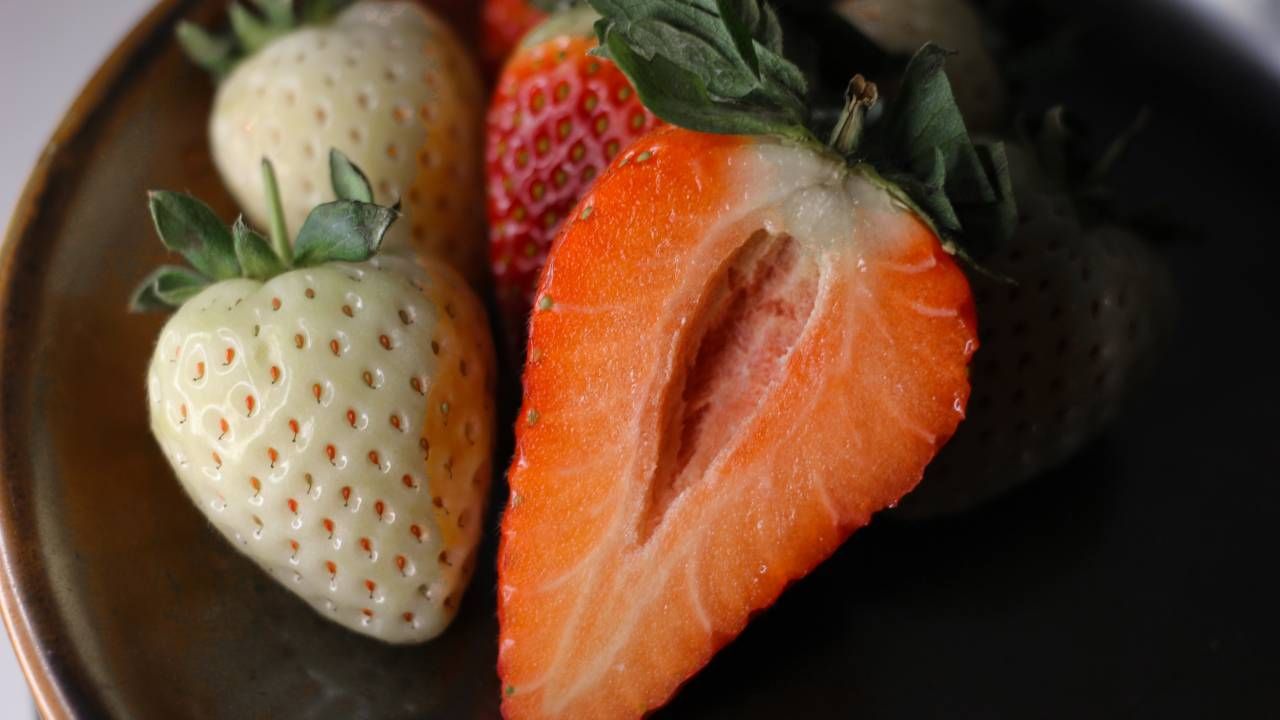 Fragole bianche: la storia e come poterle coltivare