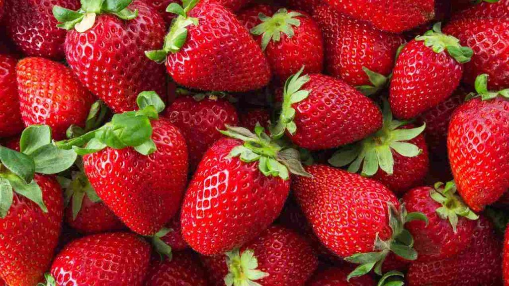 Fragole, sai che sono "falsi frutti"? Tutte le curiosità