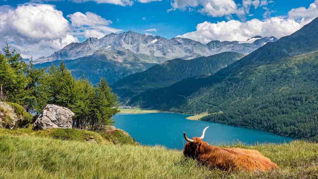 Svizzera, Lago di Saoseo: una rara bellezza da non perdere