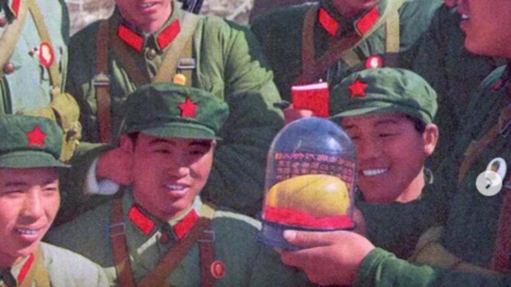Mango, simbolo della Cina: ma durò un solo anno. La storia