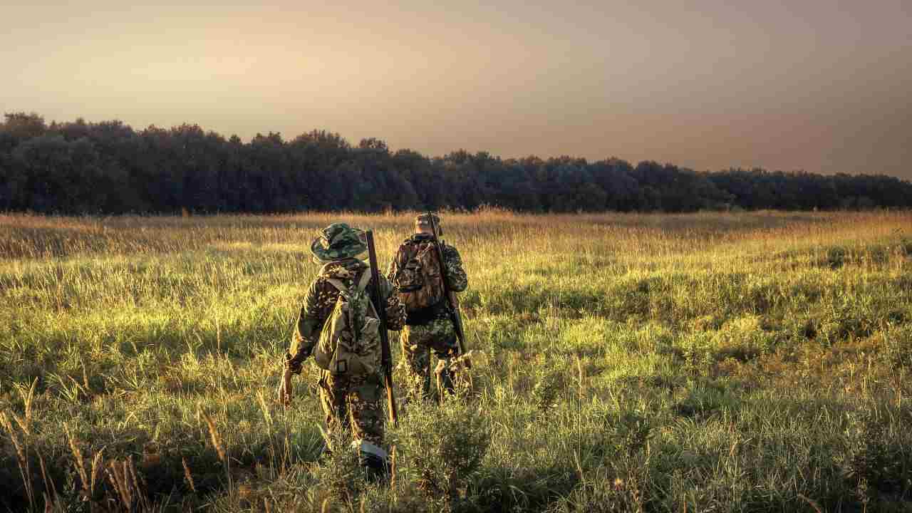 Referendum contro la caccia in Italia: come poter firmare
