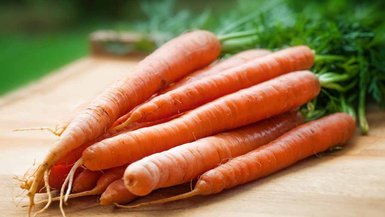 Pianta la carota: serviti solo del colletto e di un po' d'acqua