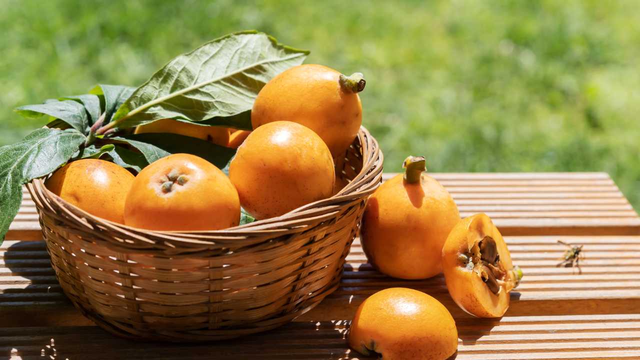 Nespole: occhio, queste persone non possono mangiarle