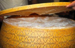 Doc, Docg, Dop, Igp, Igt: il significato di queste sigle