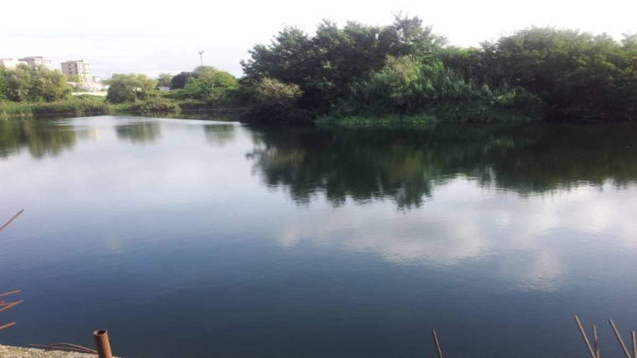 Lago ex Snia, nuove manifestazioni degli attivisti per tutelare l'area