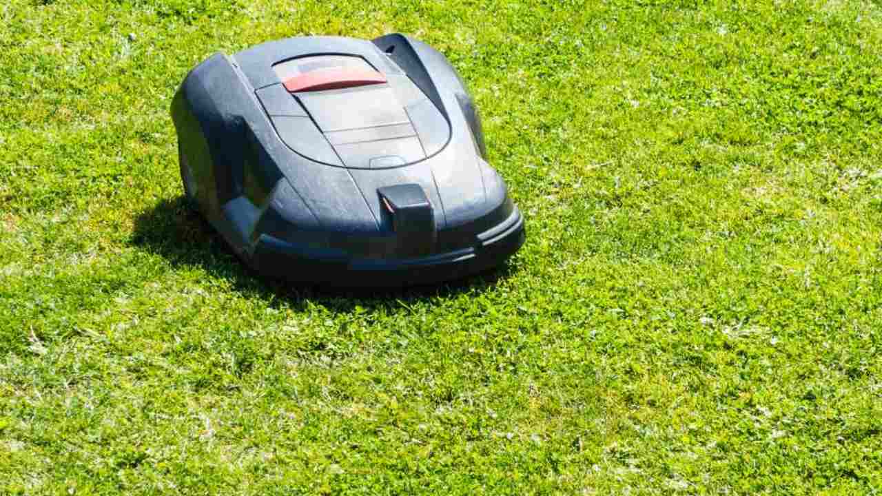 Robot tagliaerba per la cura del prato: quali sono i vantaggi Robot tagliaerba per la cura del prato: quali sono i vantaggi