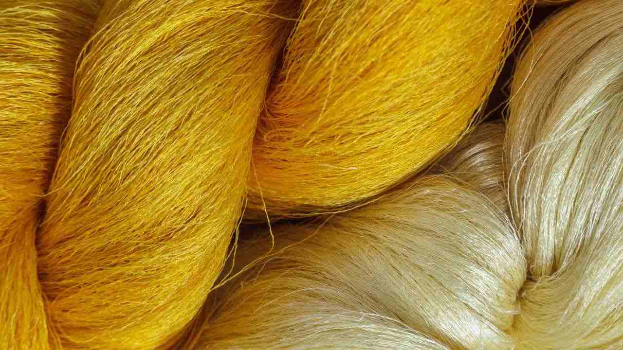 Seta, per produrla uccisi i bruchi mentre tentano di portare avanti la ...