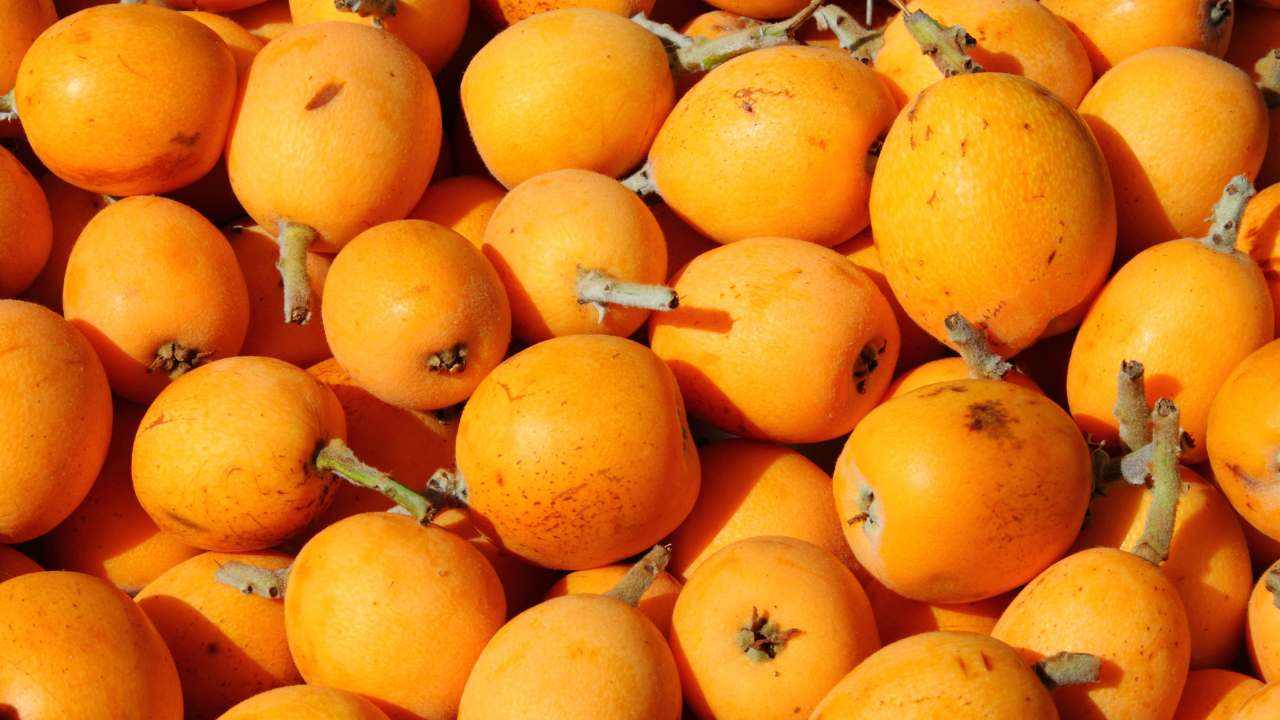 Marmellata di nespole: la gustosa ricetta