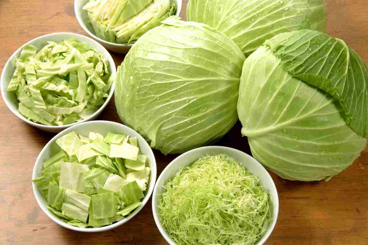 Lo sapevi che il cavolo è ricco di fibre dietetiche? Curiosità e ...