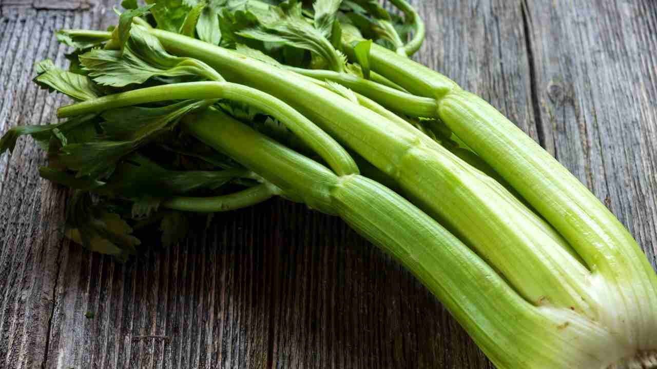 Sedano, come averlo sempre in casa senza spendere 1 solo euro in più
