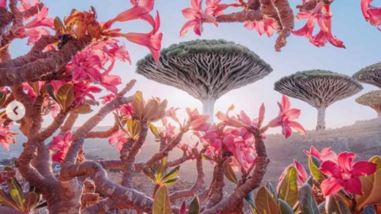 3 luoghi sulla Terra che per la loro bellezza sembrano irreali