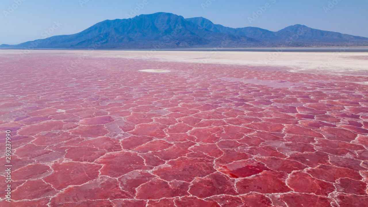 Lago Natron: come si può sopravvivere