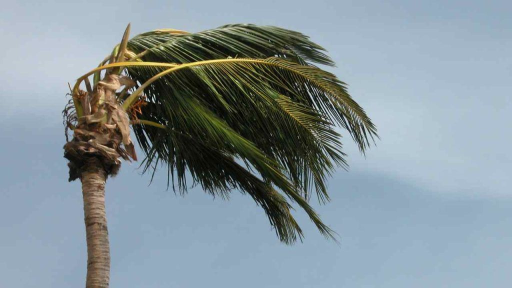 Medicane, cos'è e quali pericoli si corrono