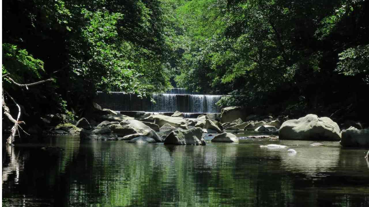 Emilia Romagna: riserve e parchi naturali da visitare