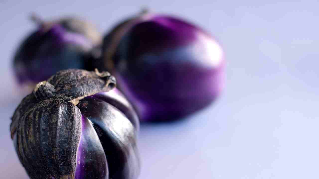 Melanzana rossa di Rotonda: il gusto e le caratteristiche