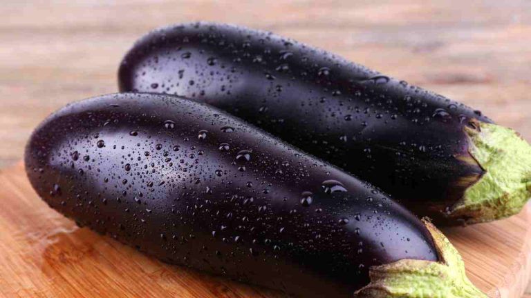 Melanzana rossa di Rotonda: il gusto e le caratteristiche