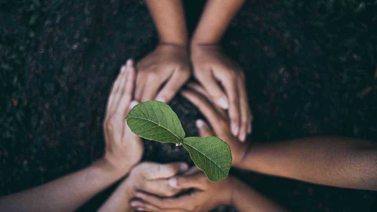 Quante sono le competenze indicate nel green comp e cos'è