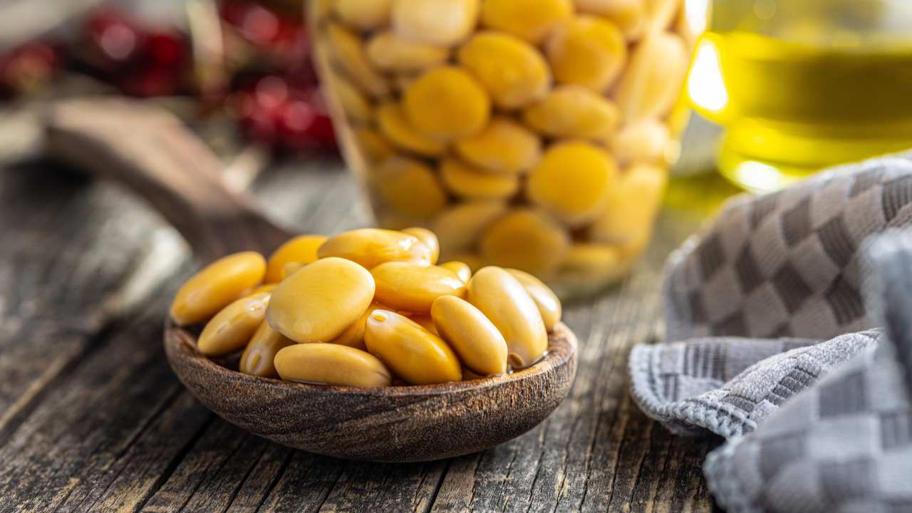 Lupini, non te lo immagini ma sono altamente tossici: e allora perché ...