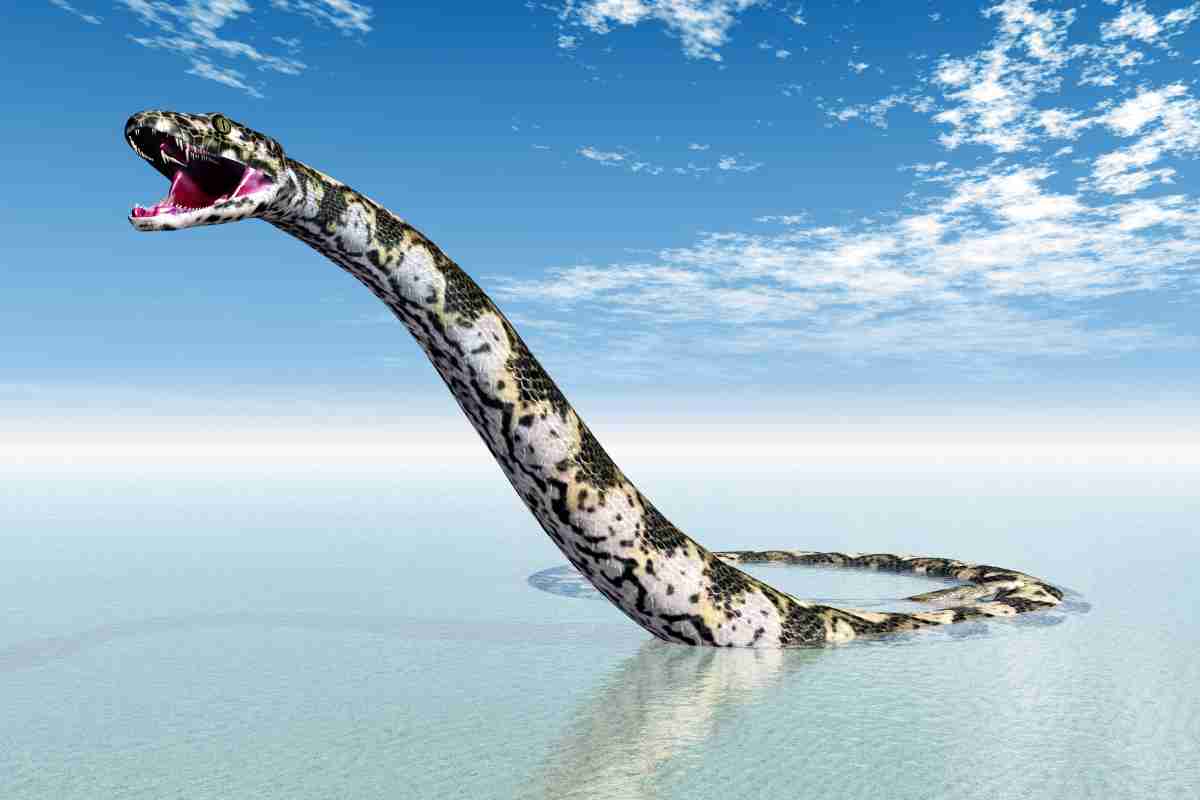 Titanoboa: il serpente più grande al mondo, lungo quanto un autobus