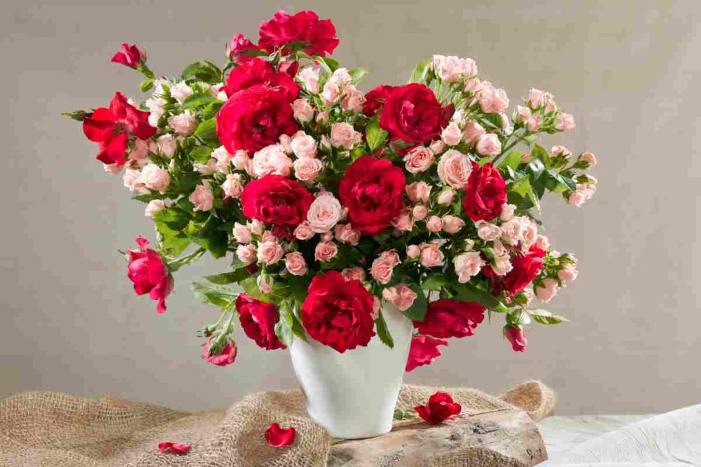 I fiori che non appassiscono mai: il regalo di San Valentino perfetto ...