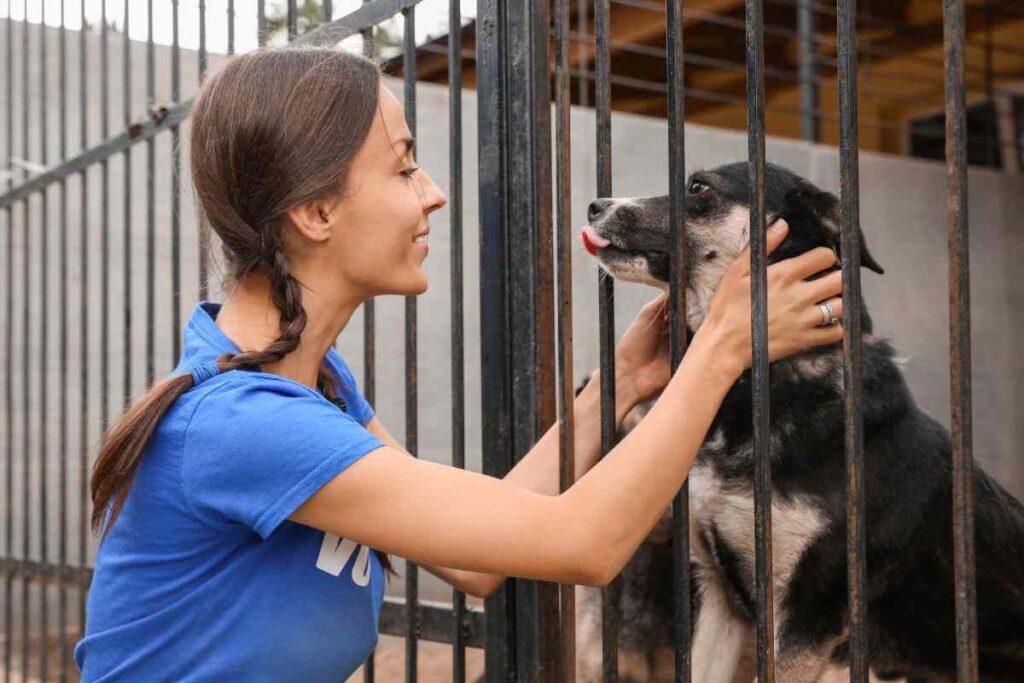 Guardie zoofile: inaugurato un nuovo nucleo operativo in una bella ...